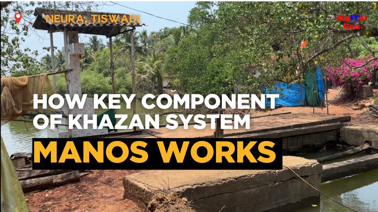 Fish v/s rice: We don’t destroy khazan lands, claim Manshikar - digitalgoa